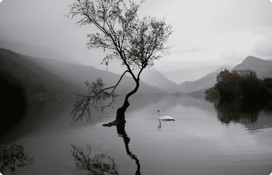 GitHub - bhargavkumar1612/reactjs-ccbp-gallery