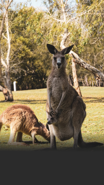 GitHub - vishnuginkala/Mock-Tests-Coding-Test-2-Website-Integration